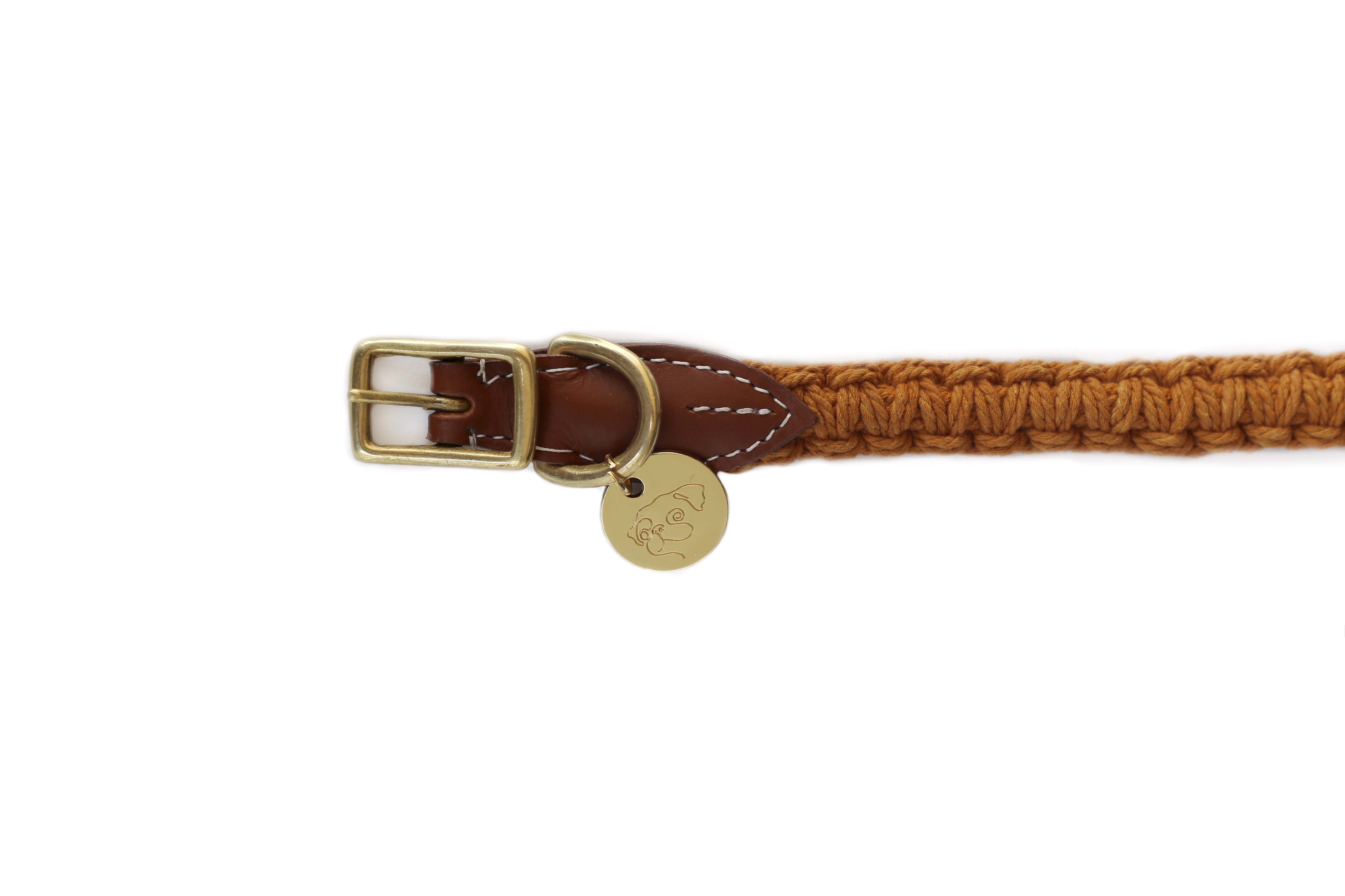 Dog Collar - The Coco - Turmeric – frankly, my dali